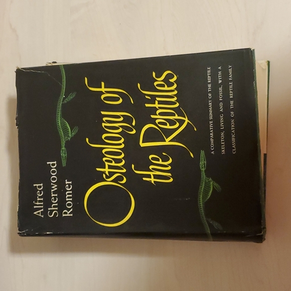 Alfred Sherwood Romer | Accents | Osteology Of The Reptiles By Alfred ...